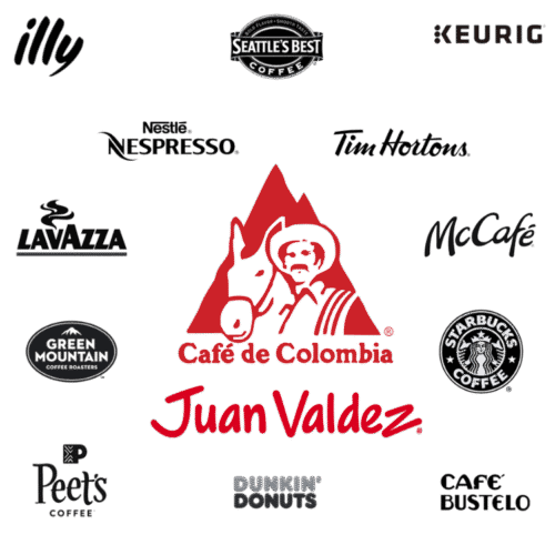 Tunungua Farms | Turn-Key Coffee Farms