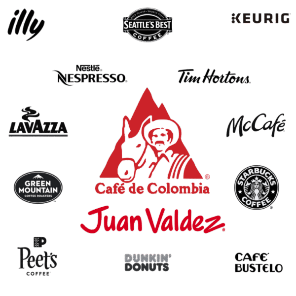 Tunungua Farms | Turn-Key Coffee Farms